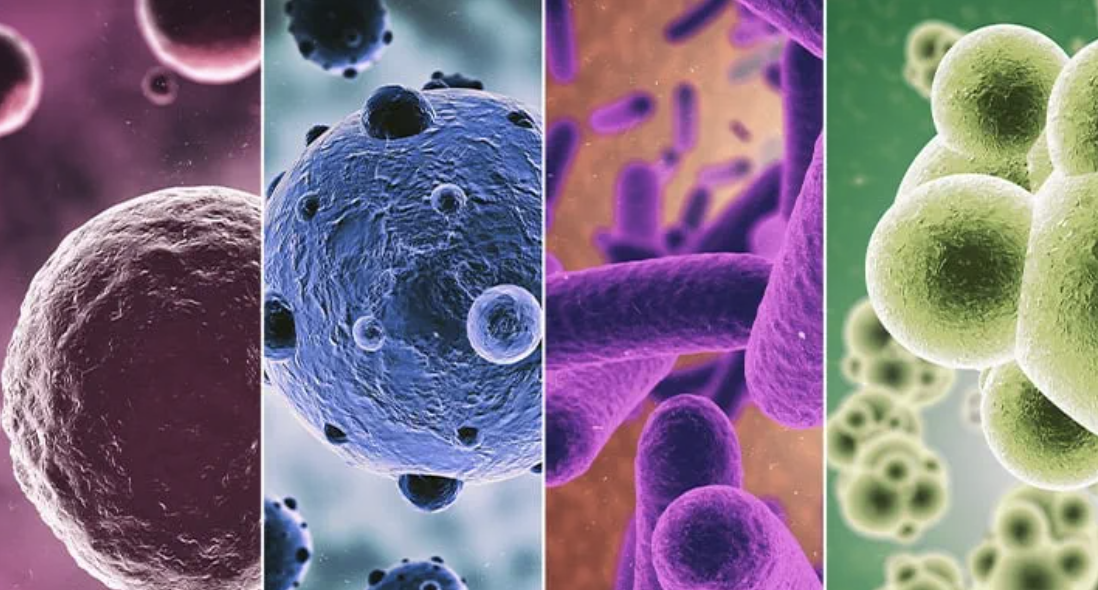 1,000 Day Infection Free - Southern California Hospital at Culver City